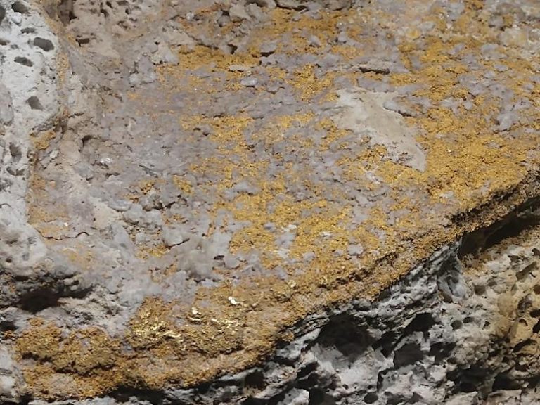 Natural Gold Display at the Denver Museum of Nature & Science ...