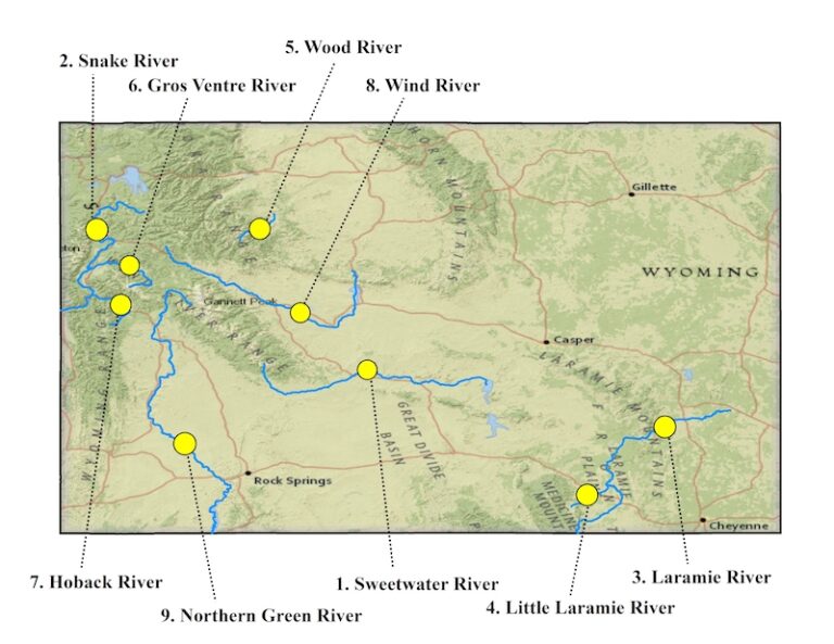 9 Rivers in Wyoming Where You Can Find Gold! - RareGoldNuggets.com